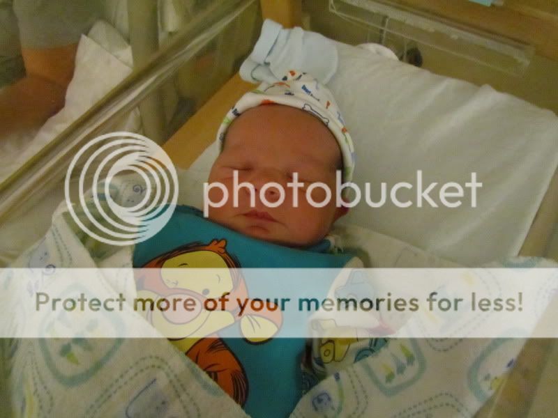 new archer | Archery Talk Forum