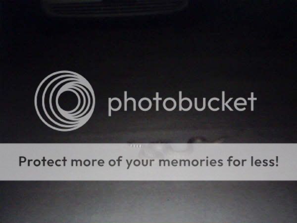 bugs and insects in your part of the state (Rio Rancho: homes ...