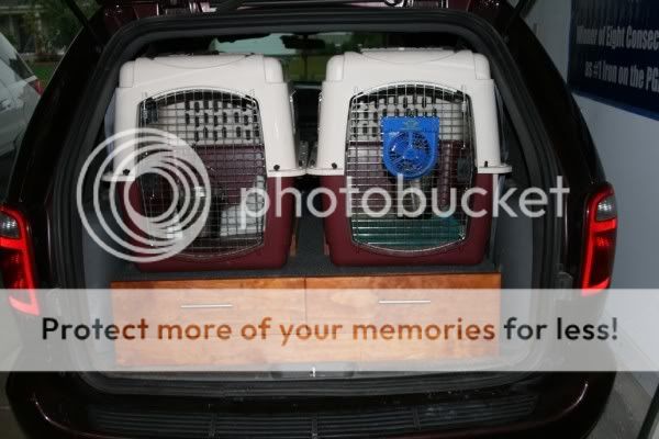 Homemade Truck Dog Box | Shotgun Forum