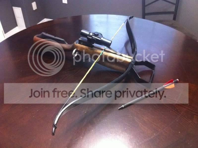 Daco Hornet Youth Crossbow | Crossbow Nation