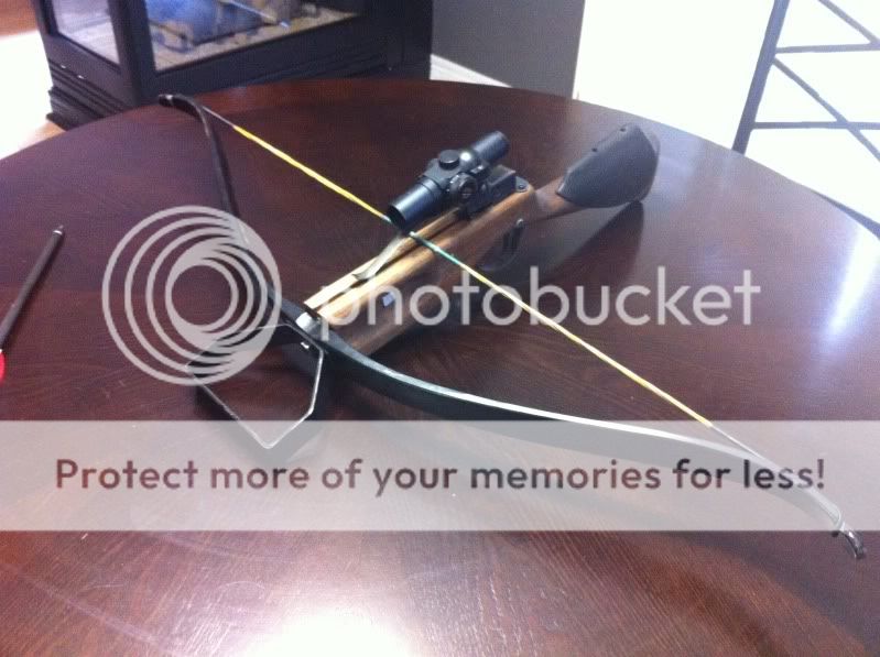 Daco Hornet Youth Crossbow | Crossbow Nation