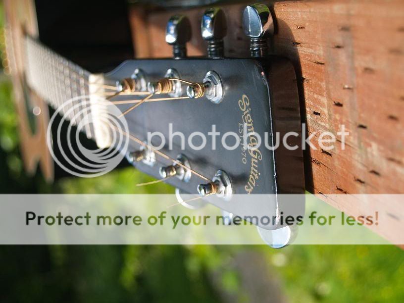 Sigma DM-2 (PICS) - Acoustic Guitars - Harmony Central