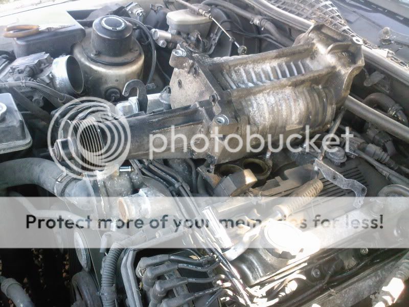 1991 Supercharged Lexus SC400 *09/06/10 update* | Retro Rides